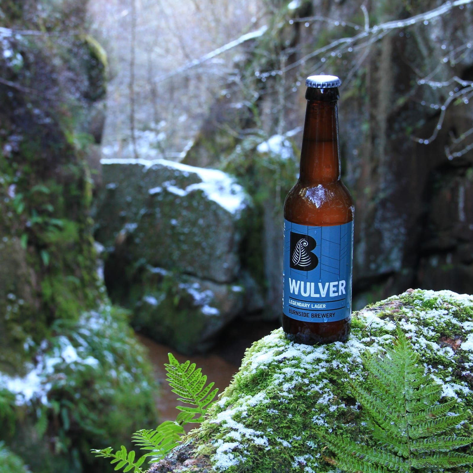 Online Shop – Burnside Brewery