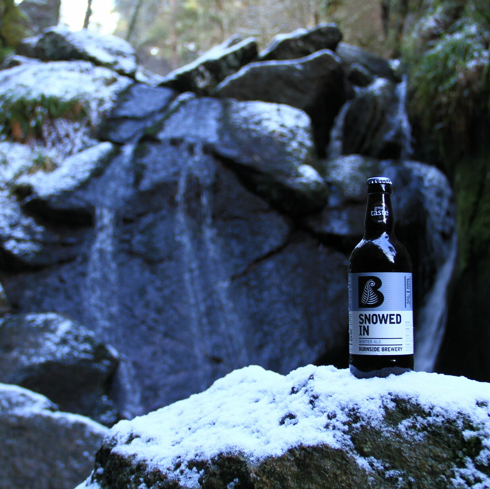 Exploring – Burnside Brewery